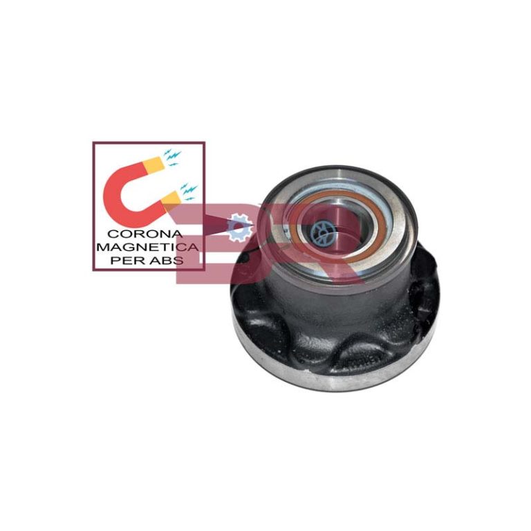 Botto Iveco parts and trucks compatibles for tir and bus - made in Italy