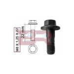 Botto Ricambi Iveco per Autocarri e Autobus made in Italy