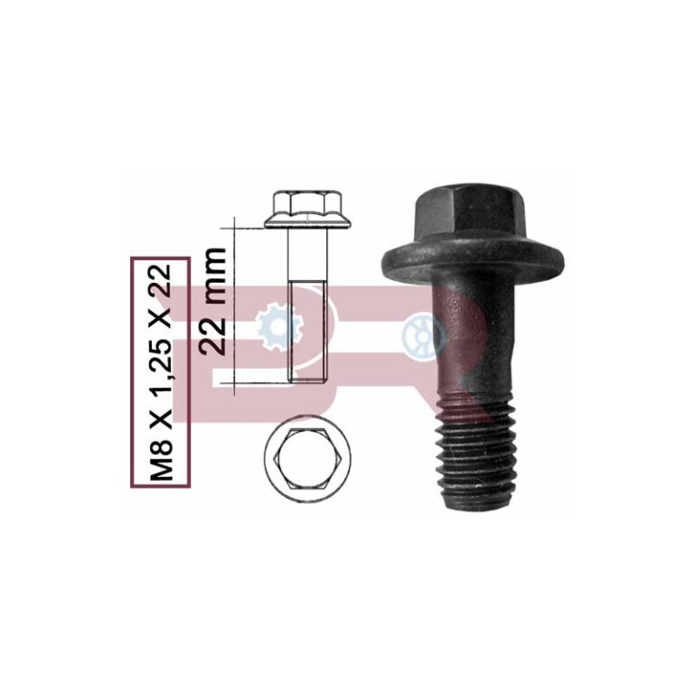 Botto Ricambi Iveco per Autocarri e Autobus made in Italy